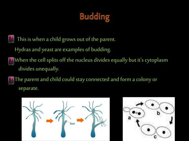 Reproduction, growth and development ppt | PPT