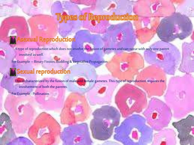 Reproduction, growth and development ppt | PPT