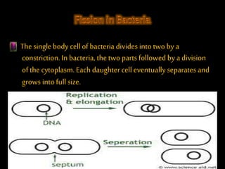Reproduction, growth and development ppt | PPTX
