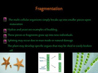 Reproduction, growth and development ppt | PPT