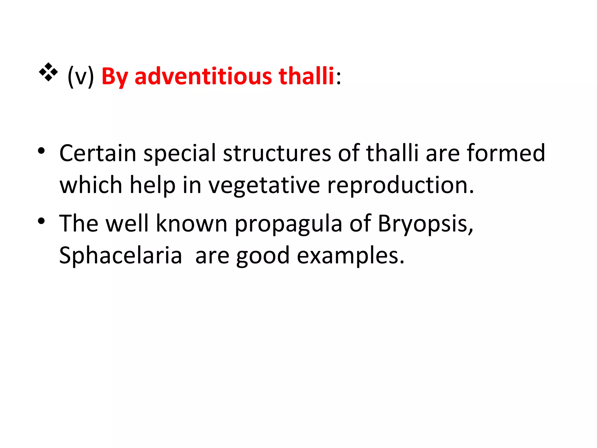 Reproduction in algae........ | PPT