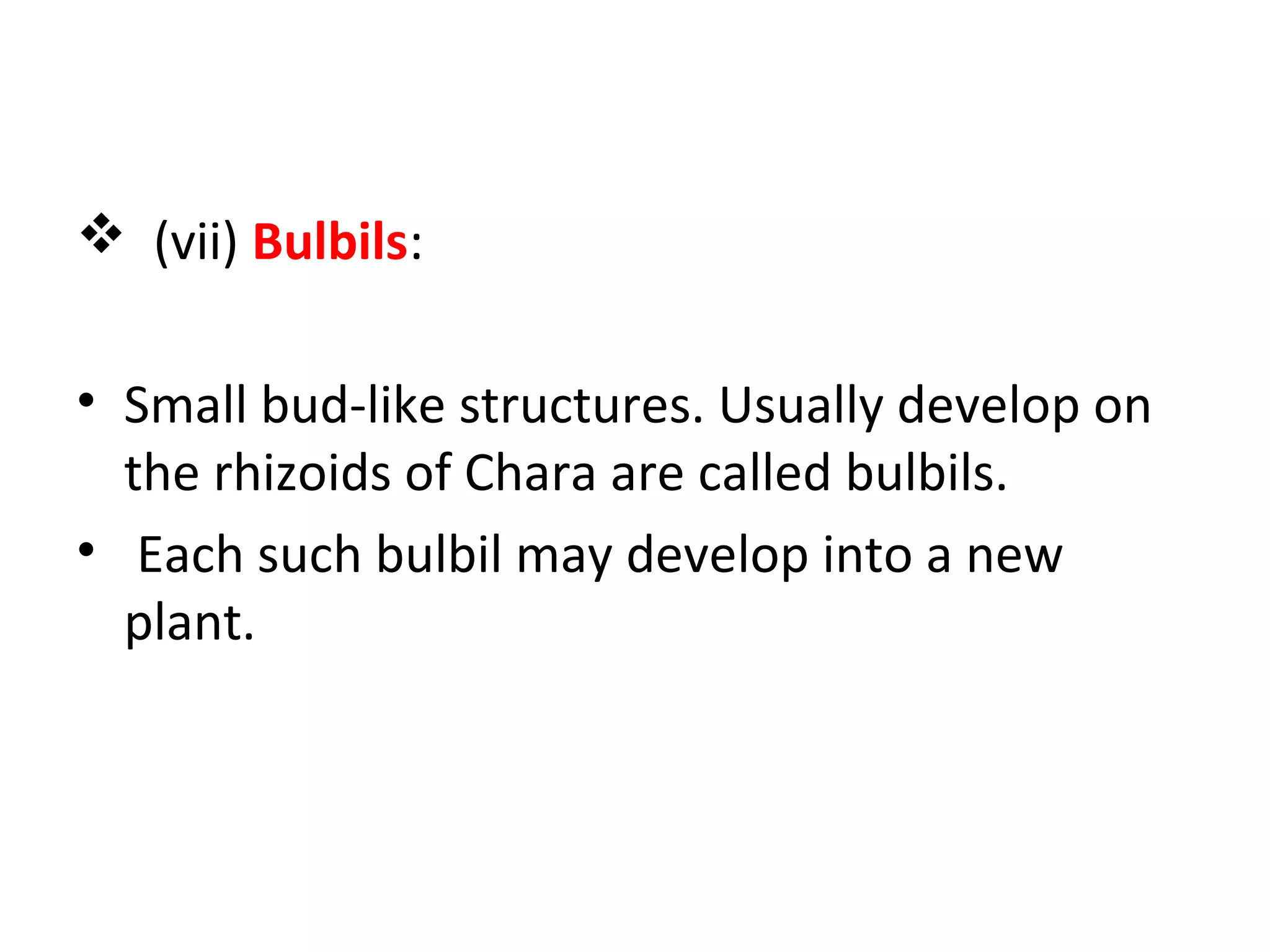 Reproduction in algae........ | PPT