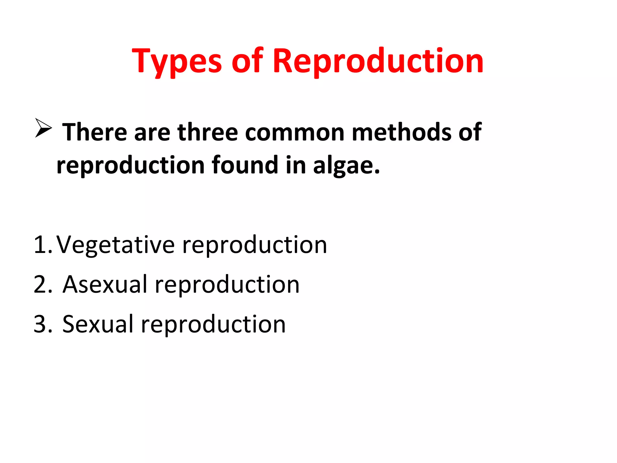 Reproduction in algae........ | PPT