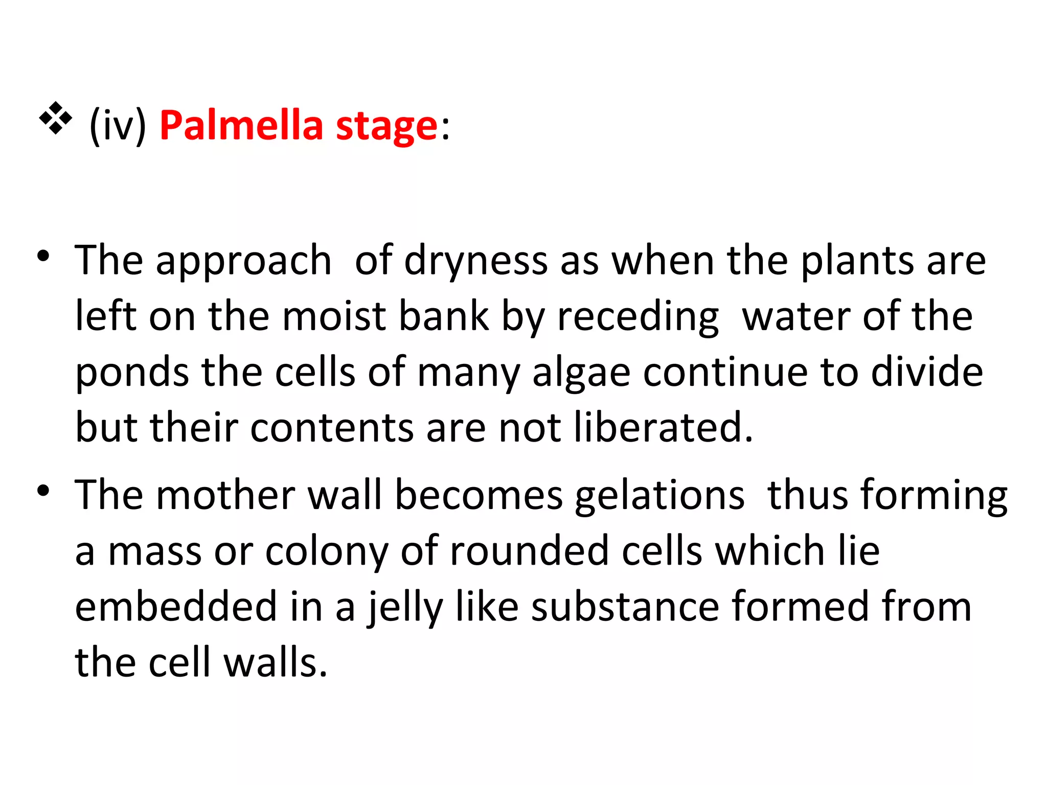 Reproduction in algae........ | PPT