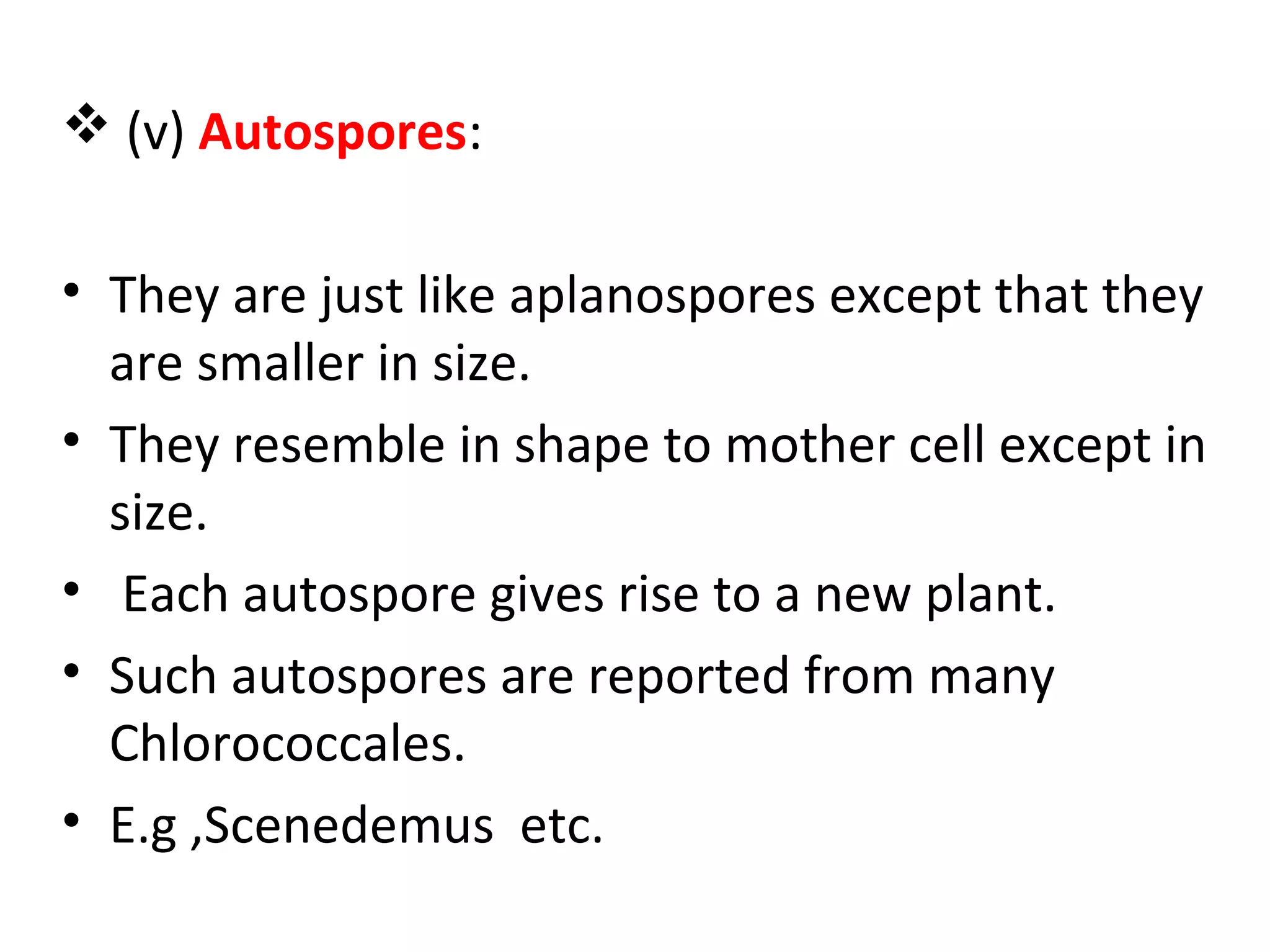 Reproduction in algae........ | PPT