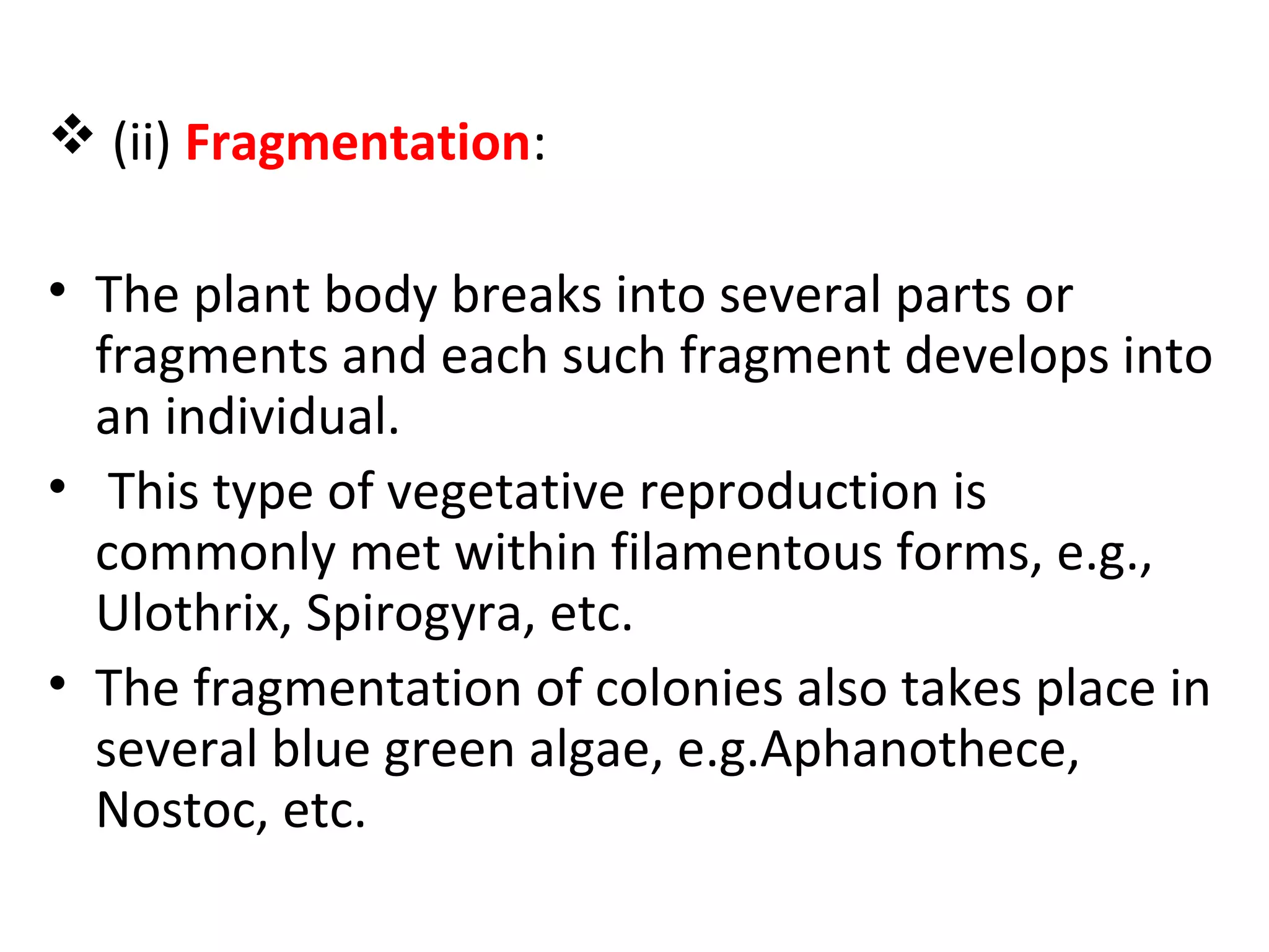 Reproduction in algae........ | PPT