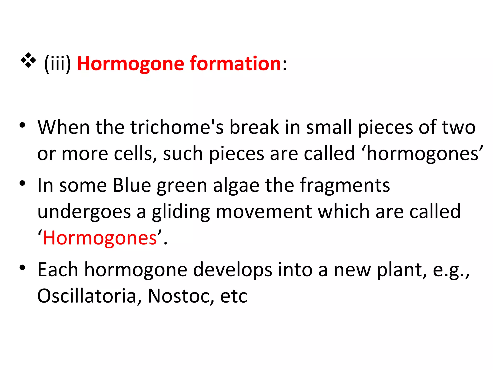 Reproduction in algae........ | PPT