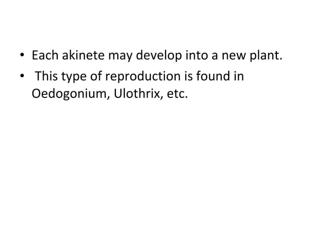 Reproduction in algae........ | PPT | Infertility | Reproductive Health