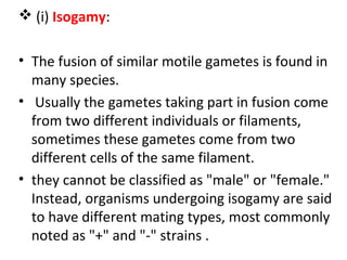 Reproduction in algae........ | PPT