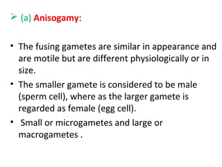 Reproduction in algae........ | PPT