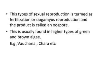 Reproduction in algae........ | PPT