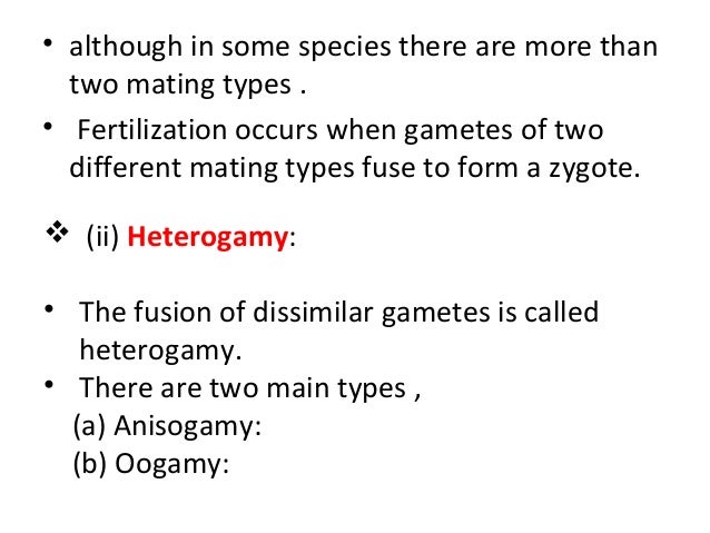 Reproduction In Algae