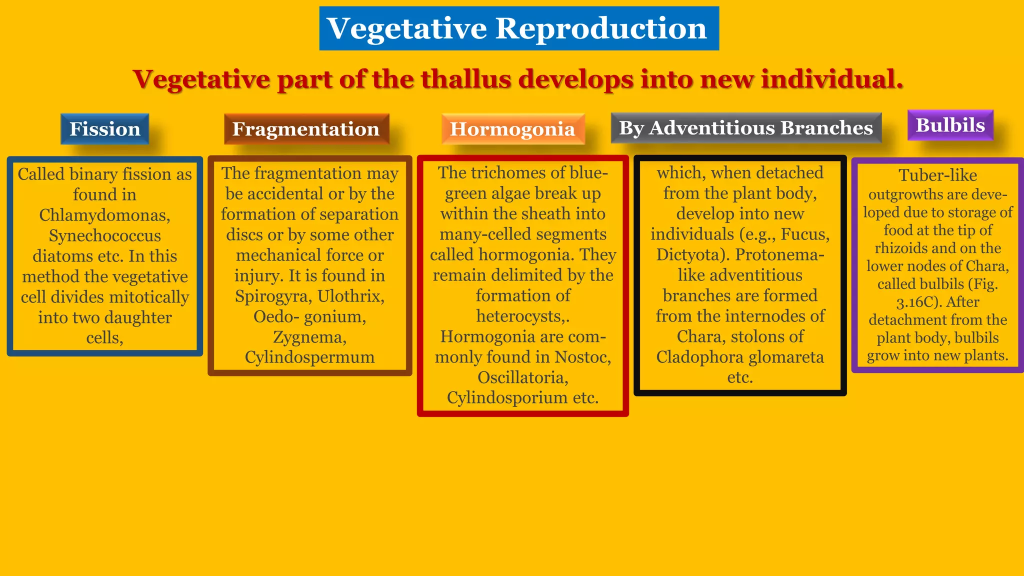 Reproduction in algae | PPTX