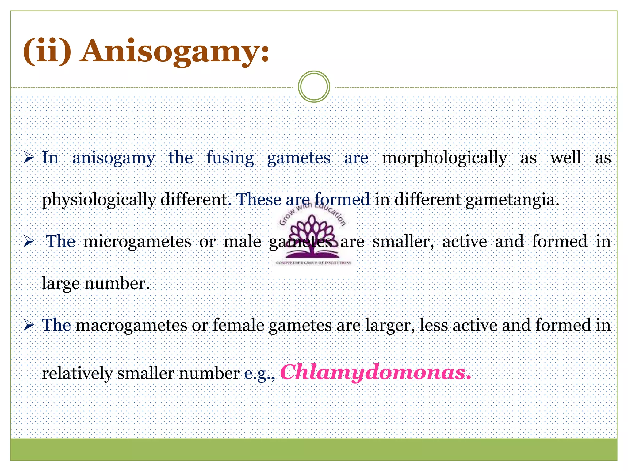 Reproduction in algae | PPTX