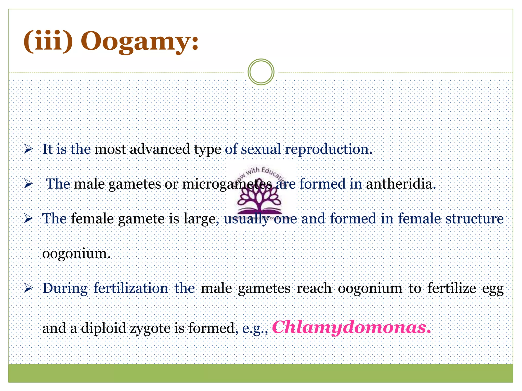 Reproduction in algae | PPTX