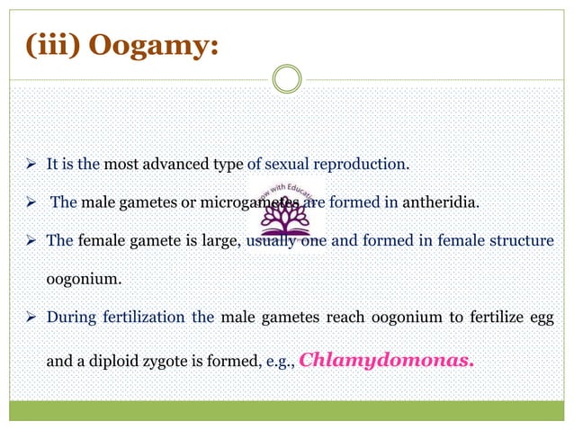 Reproduction in algae | PPTX | Infertility | Reproductive Health