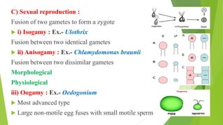 Reproduction in Algae By Dr. Neeraj Kumar Tiwari.pdf