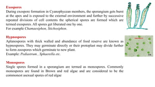 Reproduction in Algae (There are three types) | PPT