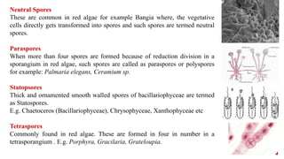 Reproduction in Algae (There are three types) | PPTX