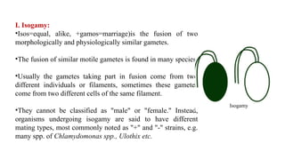 Reproduction in Algae (There are three types) | PPT