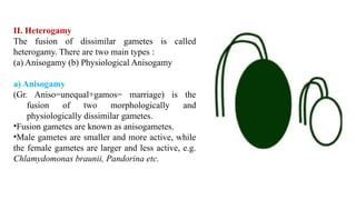Reproduction in Algae (There are three types) | PPT
