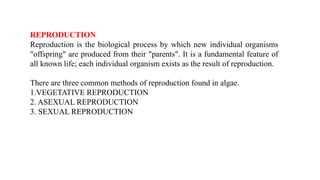 Reproduction in Algae (There are three types) | PPT