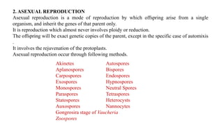 Reproduction in Algae (There are three types) | PPT
