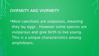 reproduction in amphibians...pptx