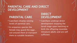 reproduction in amphibians...pptx