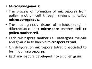Reproduction in angiosperms | PPTX