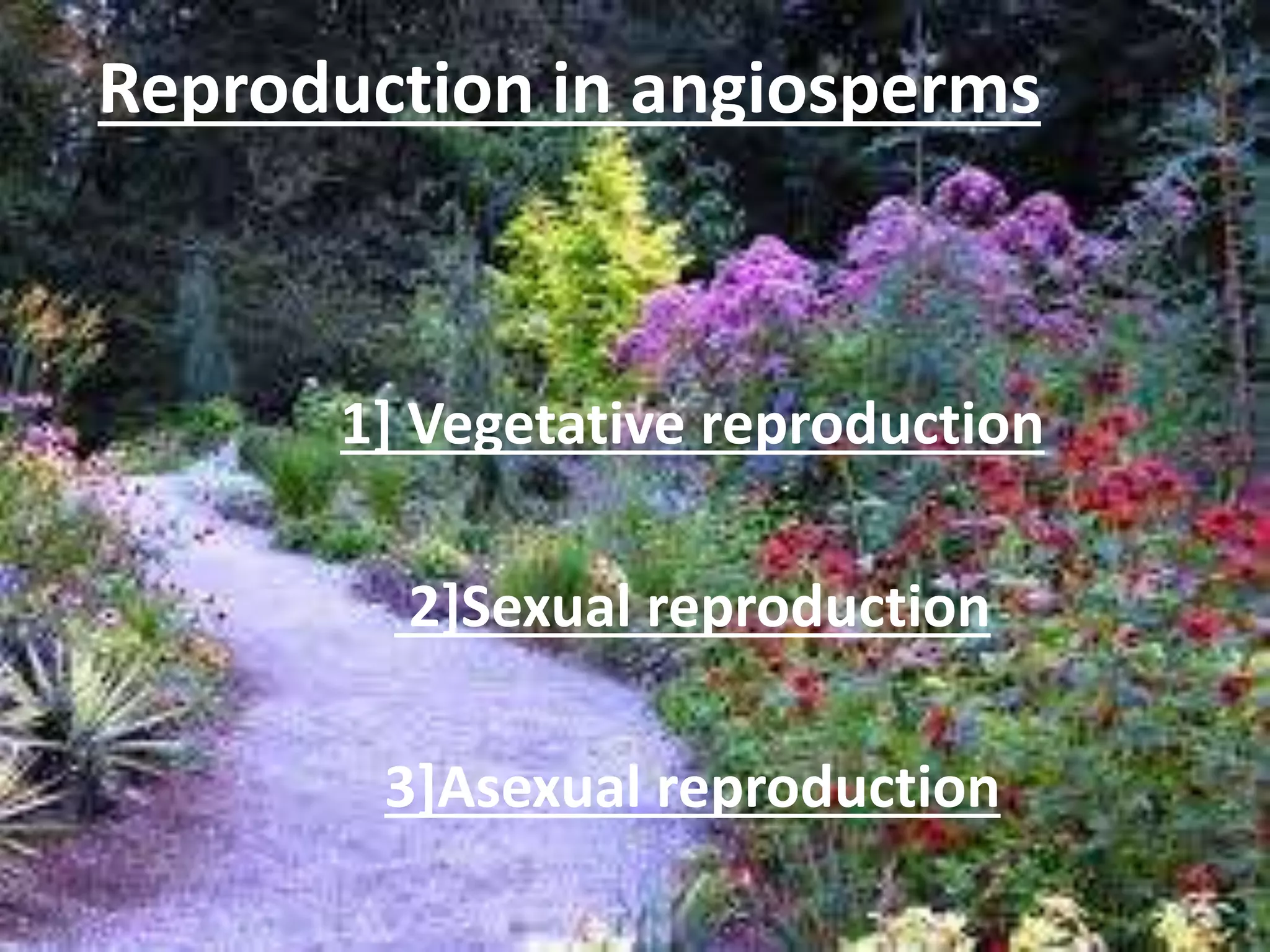 Reproduction in angiosperms By Kalpana Wagh [MSc,BEd] | PPT