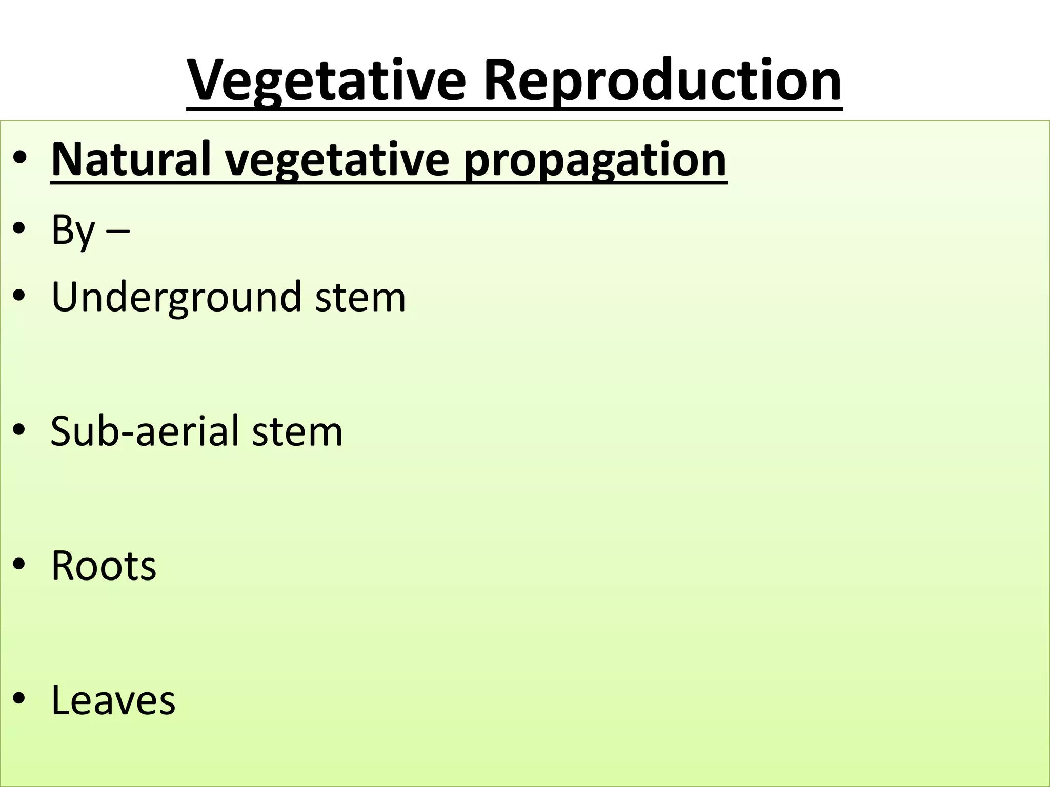 Reproduction in angiosperms By Kalpana Wagh [MSc,BEd] | PPTX