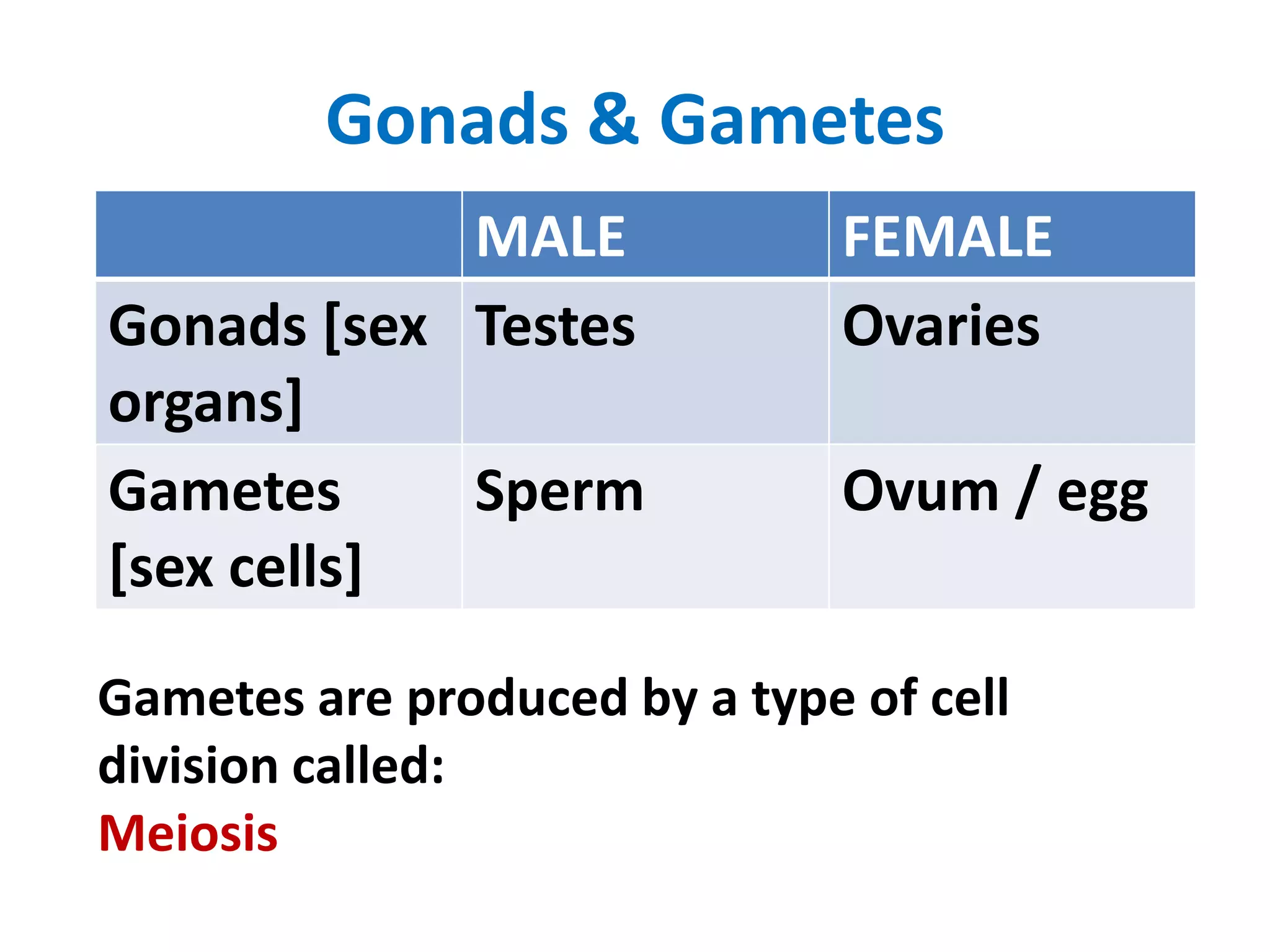 Reproduction in animals | PPTX