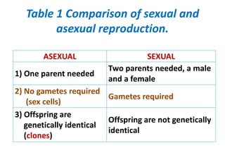 Reproduction in animals | PPTX
