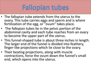 Reproduction in animals | PPTX
