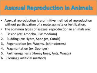 Reproduction in animals | PPTX