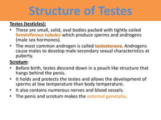 Reproduction in animals | PPTX