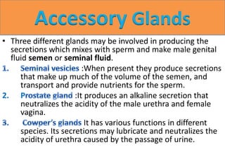 Reproduction in animals | PPTX