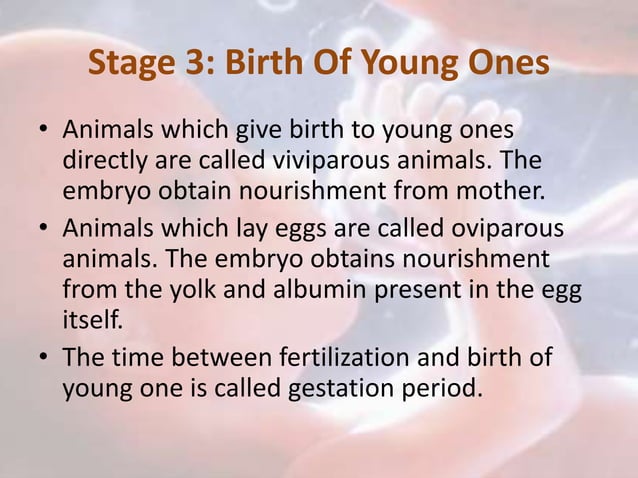 Reproduction in animals | PPTX | Infertility | Reproductive Health