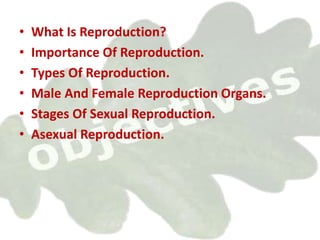 Reproduction in animals | PPTX