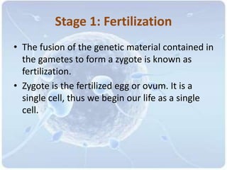 Reproduction in animals | PPTX