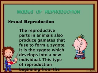 Reproduction in animals | PPT