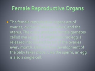Reproduction in animals | PPTX