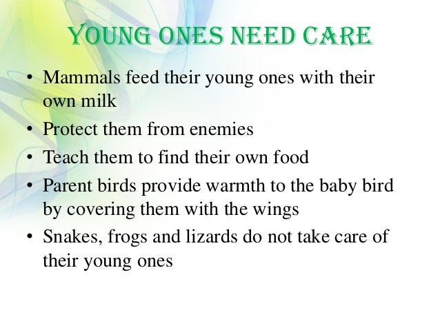 Reproduction in animals | PDF