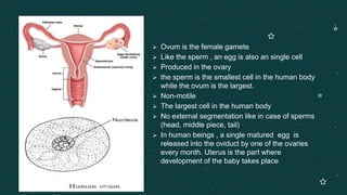 REPRODUCTION IN ANIMALS.pptx