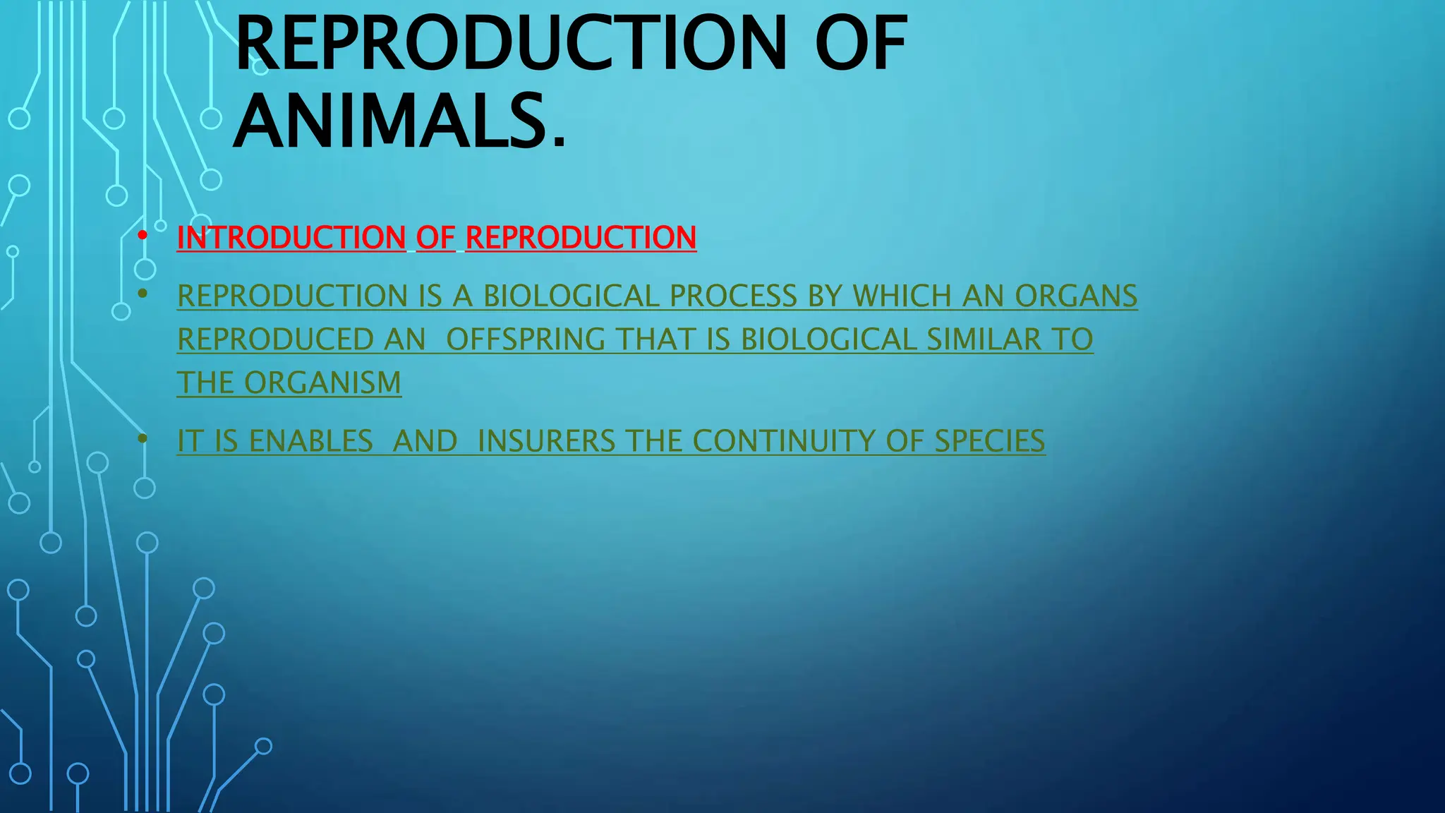 reproduction in animals.pptx