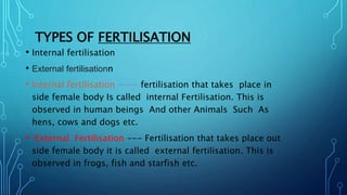 reproduction in animals.pptx