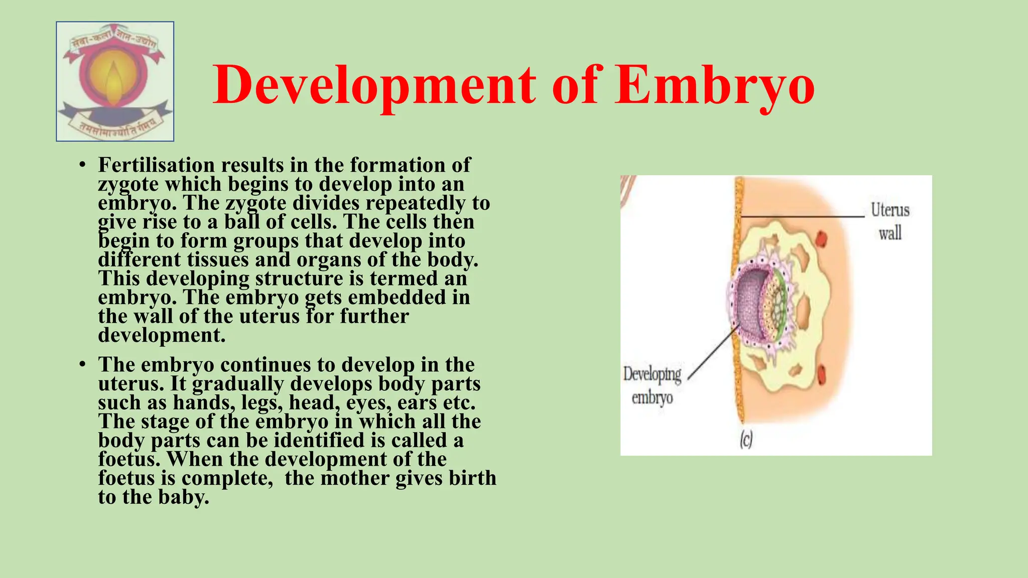 REPRODUCTION IN ANIMALS.pptx............. | PPTX
