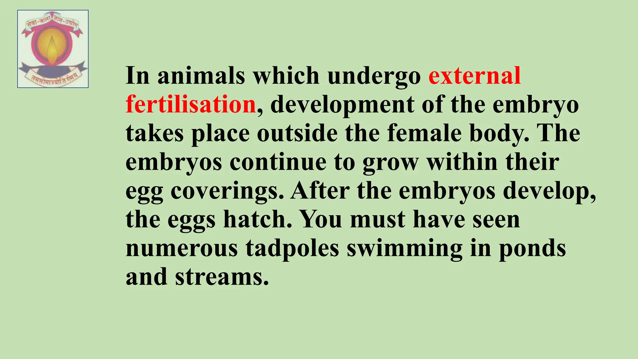 REPRODUCTION IN ANIMALS.pptx............. | PPTX
