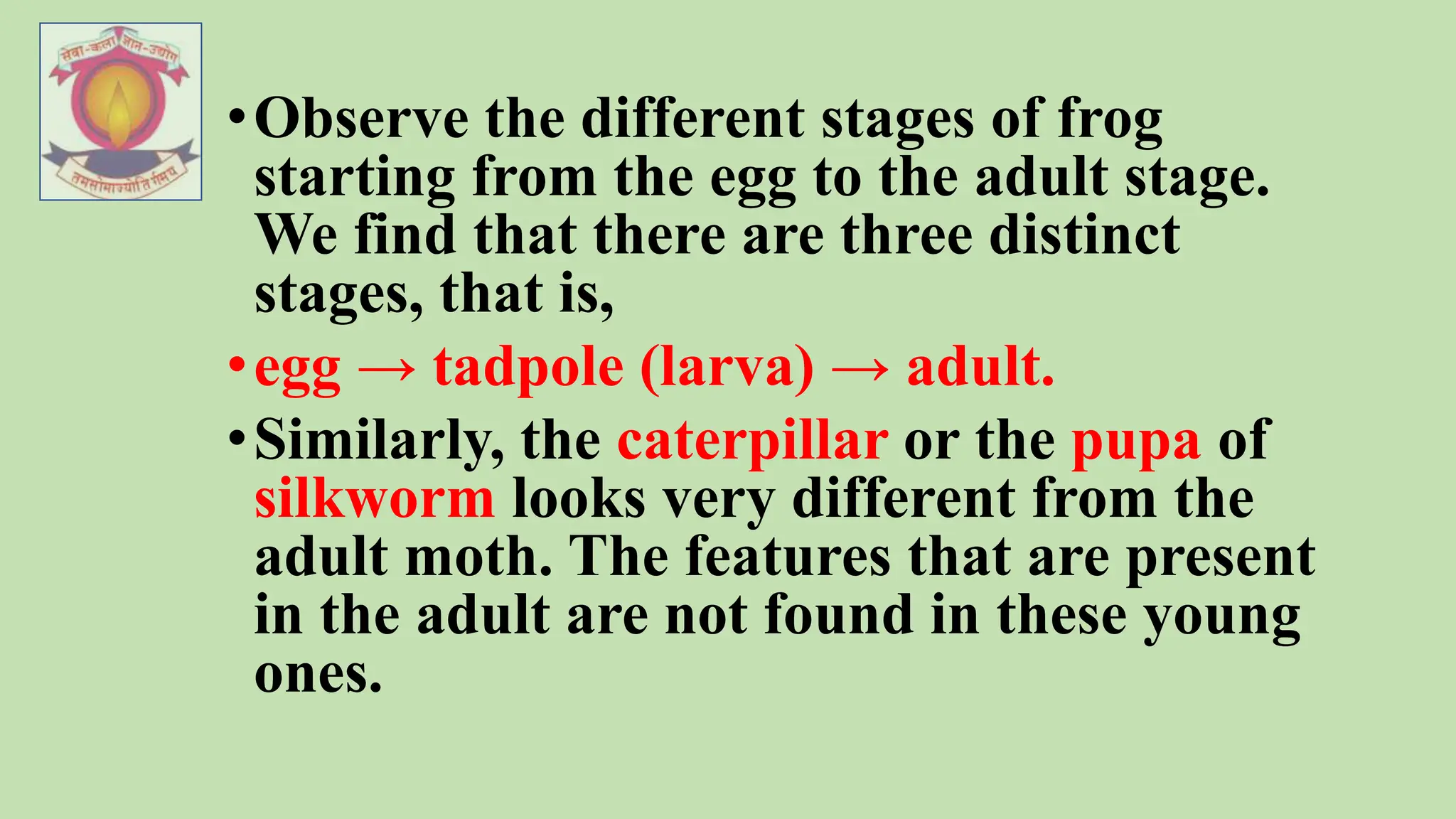 REPRODUCTION IN ANIMALS.pptx............. | PPTX